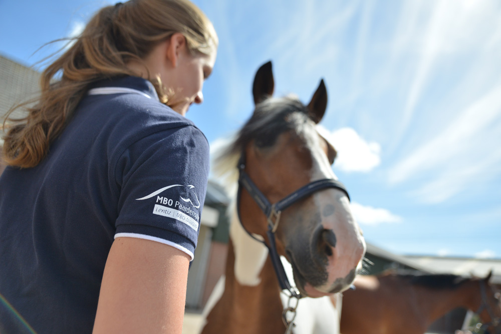 Paardensport - Lentiz | MBO Maasland